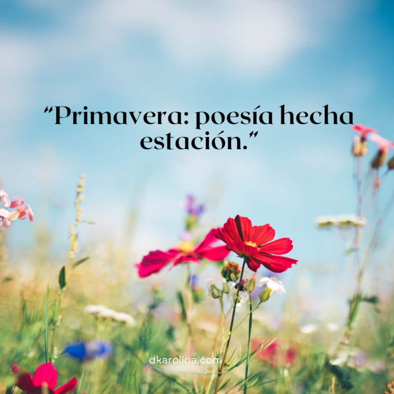 Frases de primavera para tus post de Instagram - Dkarolina