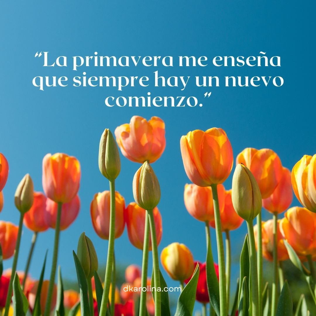 Frases de primavera para tus post de Instagram - Dkarolina